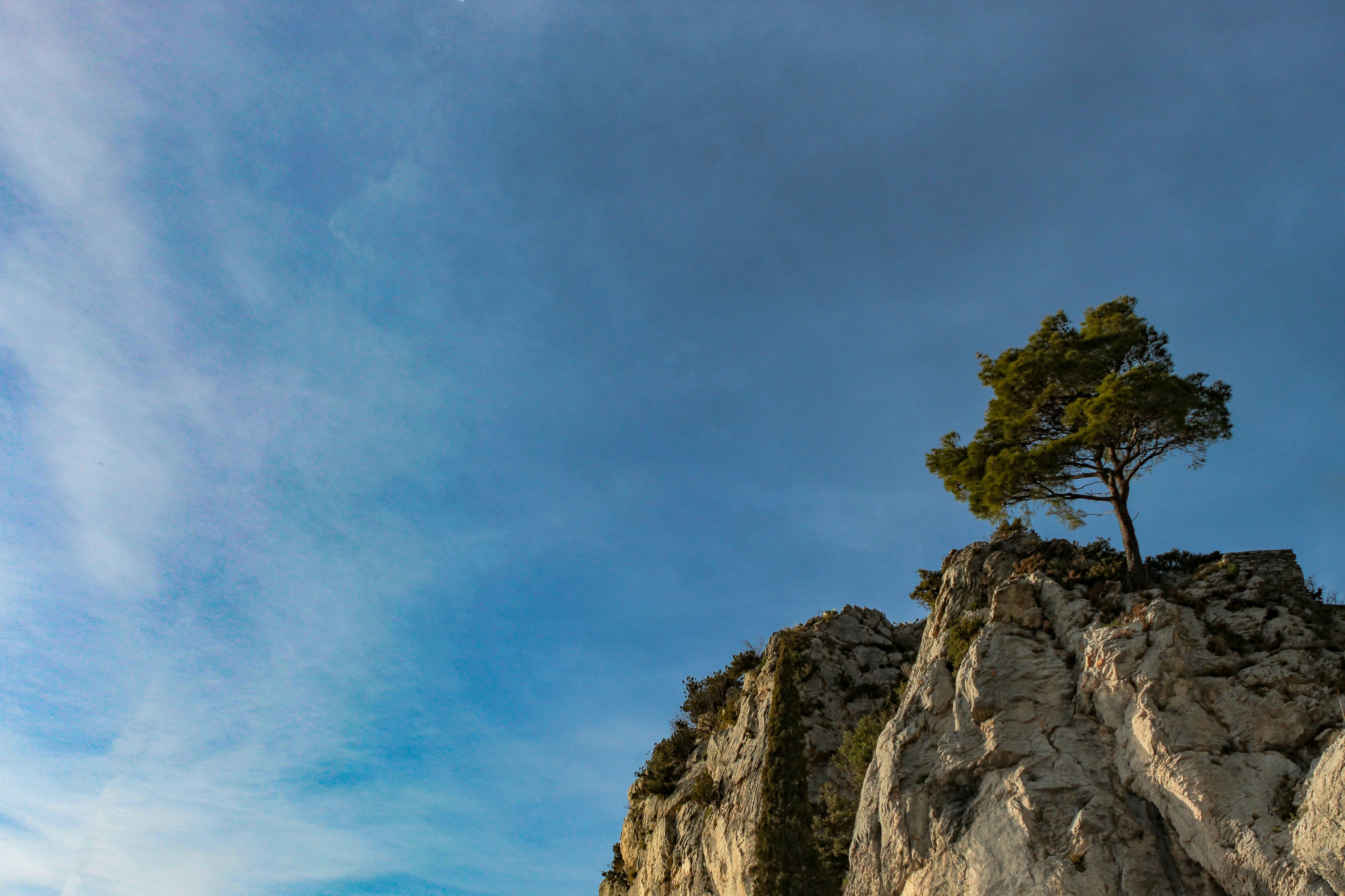 Rock Tree Sky